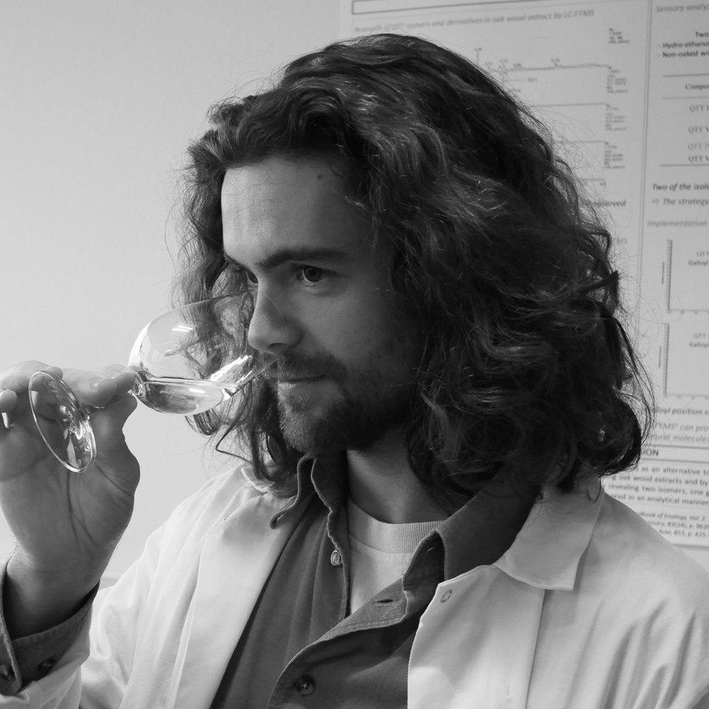 Home - Blend Masters